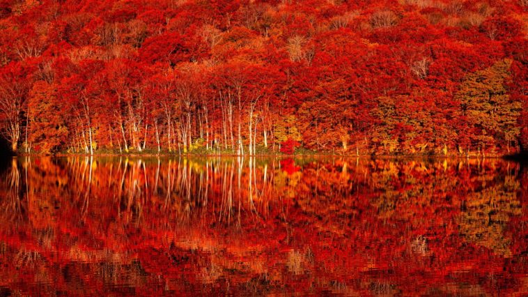 19 Breathtaking Colorful Autumn Wallpapers